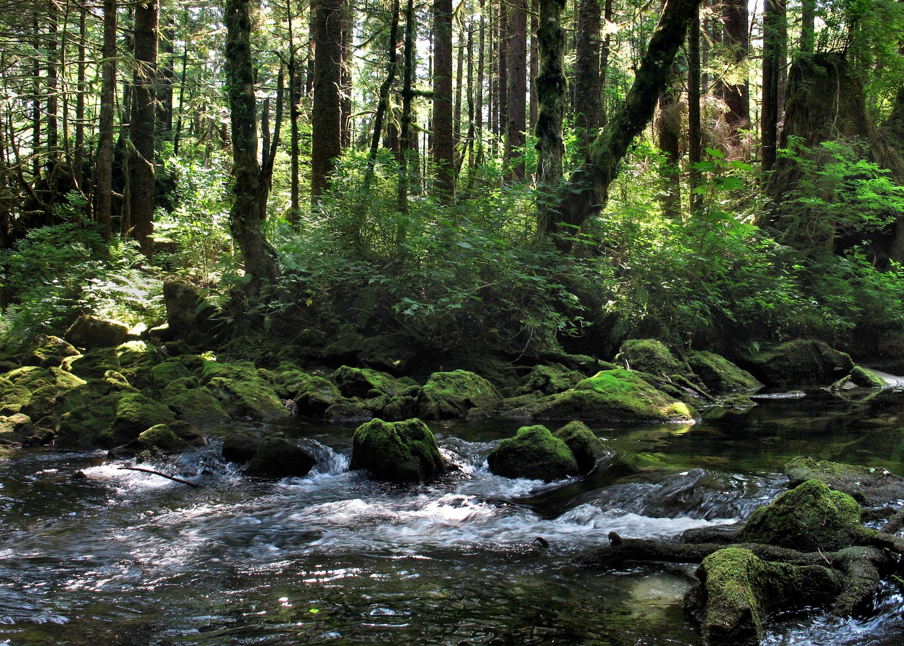 Neverending | Güd wrtr